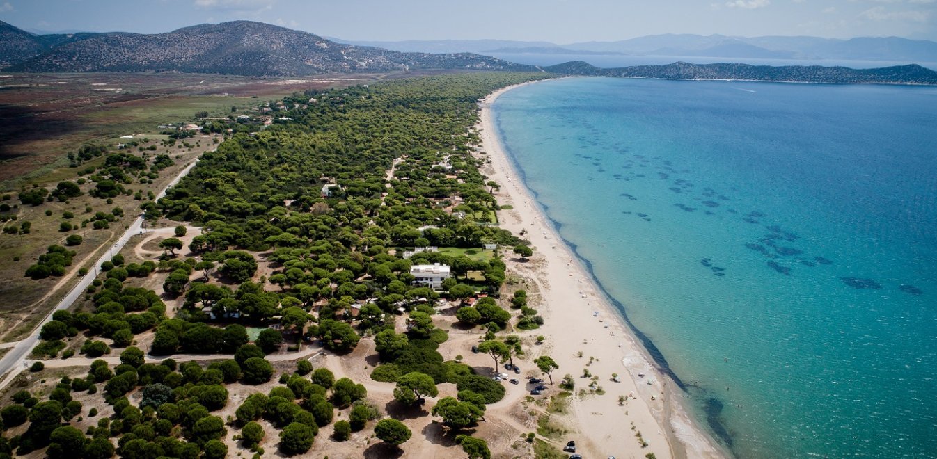 Απογευματινή εκδρομή στην παραλία Μαραθώνα